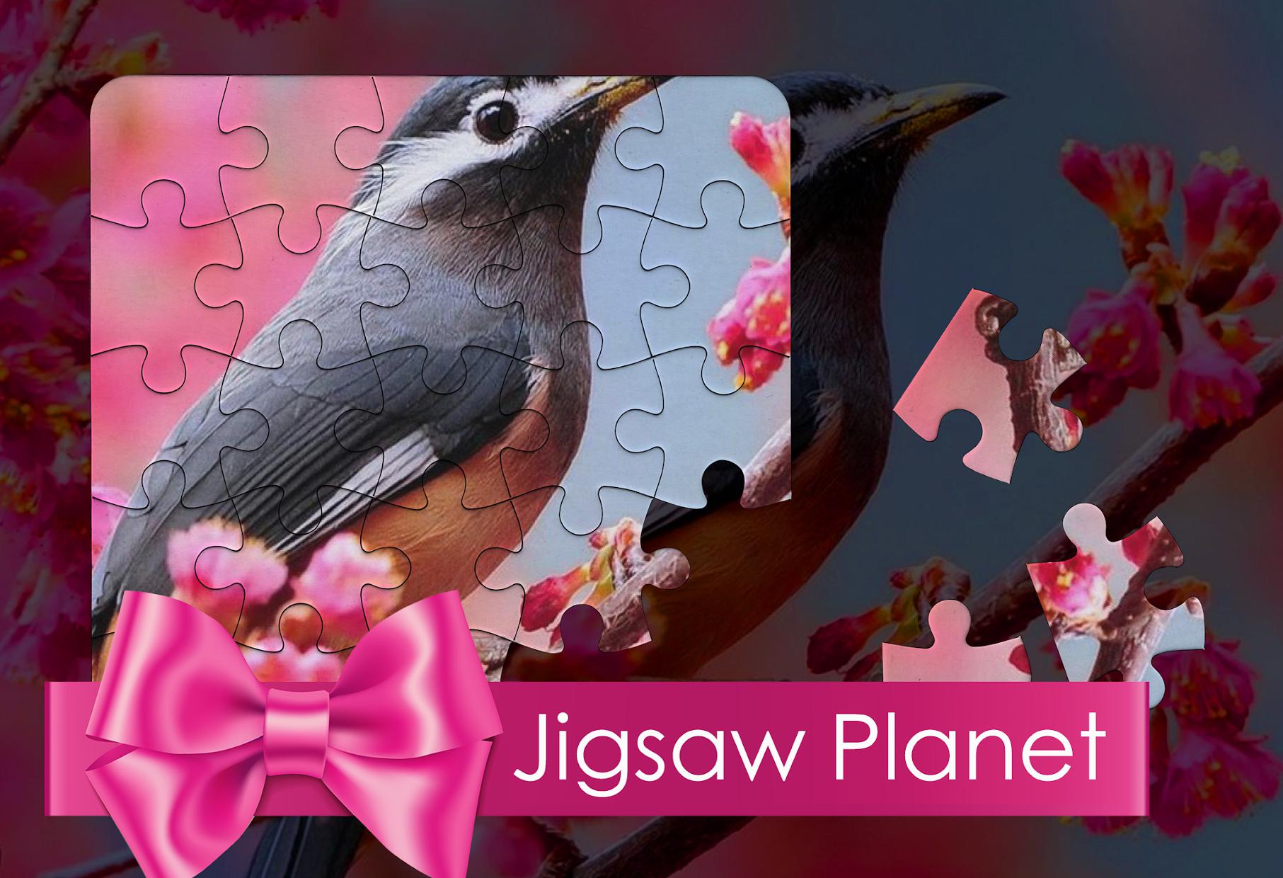 Jigsaw Planet：成人拼图游戏手游下载_Jigsaw Planet：成人拼图游戏官网|怎么玩 -Ourplay
